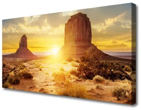 Obraz na plátně Poušť Slunce Krajina 100x50 cm