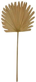 Hnědý usušený kulatý dekorativní list Palmy - 70 cm