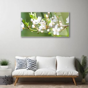 Obraz na skle Květiny Větve Listy Sad 140x70 cm