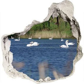 Wallmuralia Díra 3D fototapeta nálepka Bílé labutě 75x75 cm