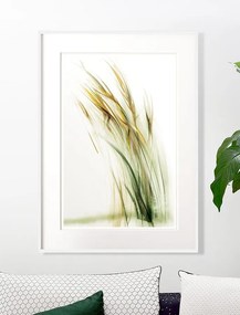 Elegantní grafika s trávami do moderních interiérů Trávy, Prchavá Série | Anna Borkowska