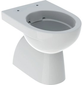 GEBERIT Selnova - Stojící WC s hlubokým splachováním, svislý vývod, částečně uzavřený tvar, Rimfree 500.399.01.1