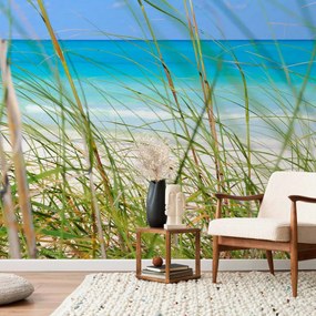 Fototapeta Prázdniny na pláži - ráj za vysokou trávou a modrým nebem