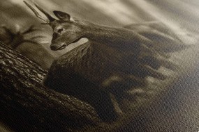 Obraz jelen v borovicovém lese v sépiové provedení Varianta: 90x60