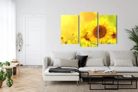 Vícedílný obraz Kvetoucí Slunečnice 3D Nedostatek Nedostatek Přírodní plátno 120x80