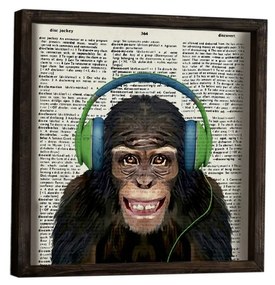 Nástěnný obraz Monkey 34x34 cm III