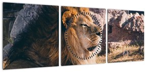 Obraz ležícího lva (s hodinami) (90x30 cm)