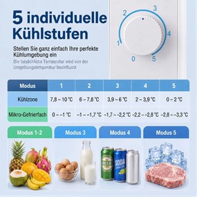 Costway 46 L Mini Fridge Malá chladnička na nápoje s 5 Nastavitelné úrovně