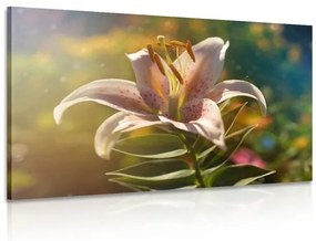 Obraz nádherný květ s retro nádechem - 90x60 cm