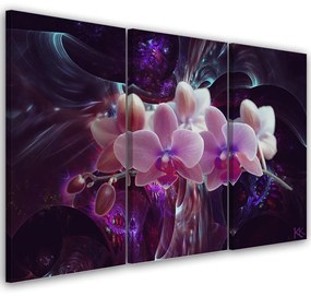 Obraz na plátně třídílný, Bílá orchidej na tmavém pozadí - 60x40 cm