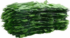 Balkónová zástěna se zelenými listy 500 x 100 cm 315501