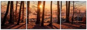Obraz na plátně - Podzimní ráno v lese - panoráma 5251C (90x30 cm)