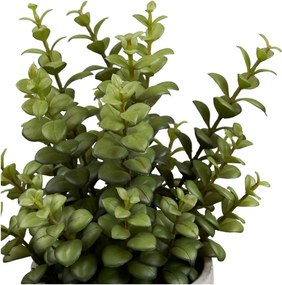 Umělá květina (výška 33,5 cm) Succulent – House Nordic