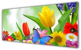 akrylový obraz Motýl Květiny Příroda 125x50 cm