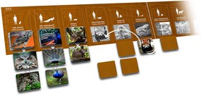 EFKO HRA Lototrio Zvířata v ZOO 2 dětské vzdělávací hry ef8861