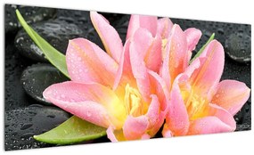 Obraz květů (100x40cm)