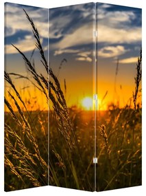 Paraván - Pole při západu slunce (126x170 cm)
