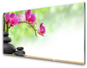 Obraz na skle Bambusové Výhonky Kameny Zen Lázně 100x50 cm