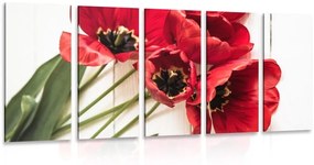 5-dílný obraz rozkvetlé červené tulipány - 100x50 cm