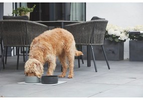 Porcelánová miska pro psa ø 16 cm Scodella Graphite S/M – MiaCara