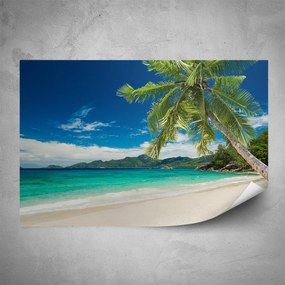 Plakát - Pláž s palmou (60x40 cm) - PopyDesign
