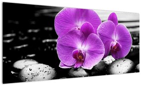 Obraz orchidejí (100x40cm)
