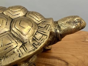 Kovová soška želvy 43 cm – masivní odlévaná dekorace z Indie (6 kg)