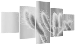 Obraz - Bunny tail grass (125x70 cm)