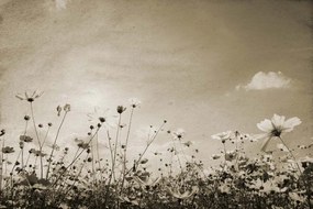 DIMEX | Samolepicí vliesová fototapeta na zeď Vintage krajina MA-5-2012 | 375 x 250 cm | modrá, žlutá, růžová