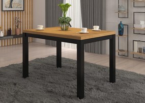 ADRK Furniture Konferenční stolek OLAF 2 120x80 CT-Ola-2-ART+BM-H072