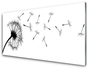 Obraz na skle Pampeliška Květ 140x70 cm