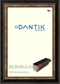 DANTIK rámeček 20x30 | TRITON černá (Sklo Čiré)
