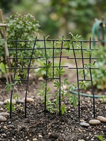 Sinsay - Opory na květiny 3 pack - černá