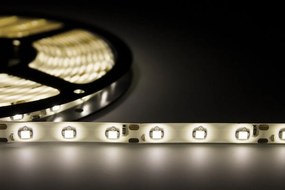 ECOLIGHT LED pásek - SMD2835 - 5m - 60LED/m - 4,8W/m - IP20 - neutrální bílá