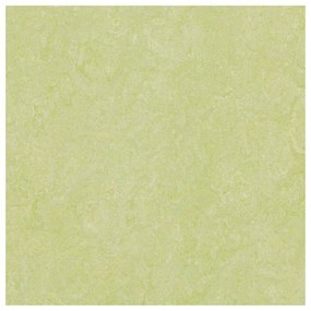 Přířodní Marmoleum Real (2 mm) 3881 - světle zelené