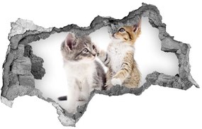 Wallmuralia Díra 3D fototapeta nálepka Dvě malé kočky 95x73 cm