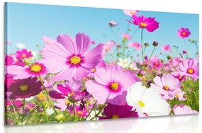 Obraz louka jarních květů - 60x40 cm