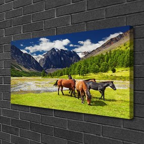 Obraz na plátně Hory Stromy Koně Zvířata 140x70 cm