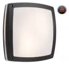 Stropní LED světlo Fano S 30 Smart černé
