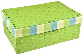Vingo Úložný box s víkem zelený Rozměry (cm): 30x21, v. 11