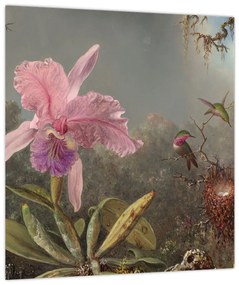 Obraz - Martin Johnson Heade, Cattleya Orchid and Three Hummingbirds, reprodukce (30x30 cm)