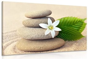 Obraz bílý květ a kameny v písku Varianta: 90x60