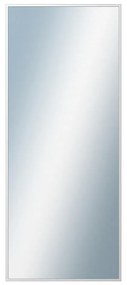 DANTIK - Zarámované zrcadlo - rozměr s rámem cca 50x120 cm z lišty Hliník stříbrná | P269-004 (7269004)