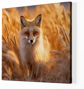 Obraz na plátně - Liška odpočívá v bílých travinách FeelHappy.cz Velikost obrazu: 120 x 120 cm