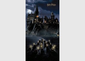 Dětská vliesová fototapeta na zed' Harry Potter První Rok v Bradavicích | 150 x 270 cm | DFTD2P5621