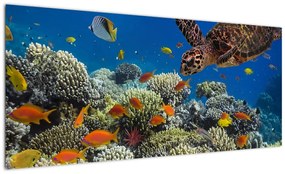 Obraz podmořského světa (100x40cm)