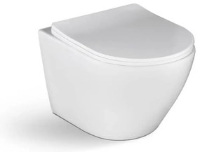 Laveo Desna, závěsná WC mísa Rimless 485x370x320 mm + toaletní sedátko, bílá lesklá, LAV-VMD_600S