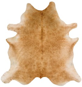 Béžový  koberec Banshee Solid Beige Rozměry: 180x240 cm