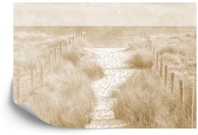 Fototapeta Pojďme Dolů Do Beach Faded Vintage Sepia Hladký vinyl 450x300