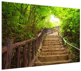 Letní obraz schodů v přírodě (100x70 cm)